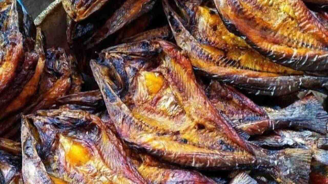 Mengenal Jenis-Jenis Ikan yang Bisa Diolah Menjadi Ikan Salai, Cita ...