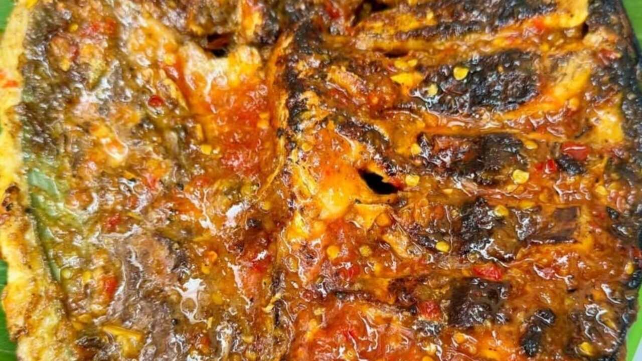 Ragam Jenis Ikan di Indonesia, Dari Laut Dalam hingga Perairan Tawar ...