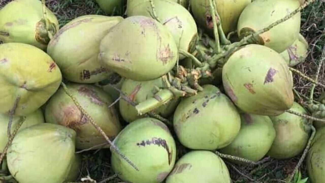 Es Dogan, Minuman Segar yang Paling Dicari Saat Bulan Puasa