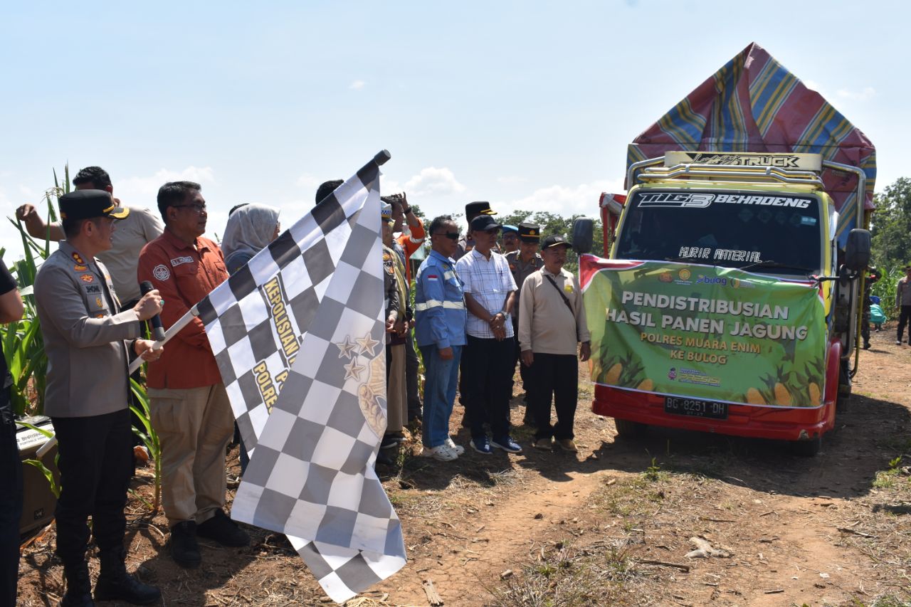 Panen Raya Jagung Serentak, Sukseskan Swasembada Pangan